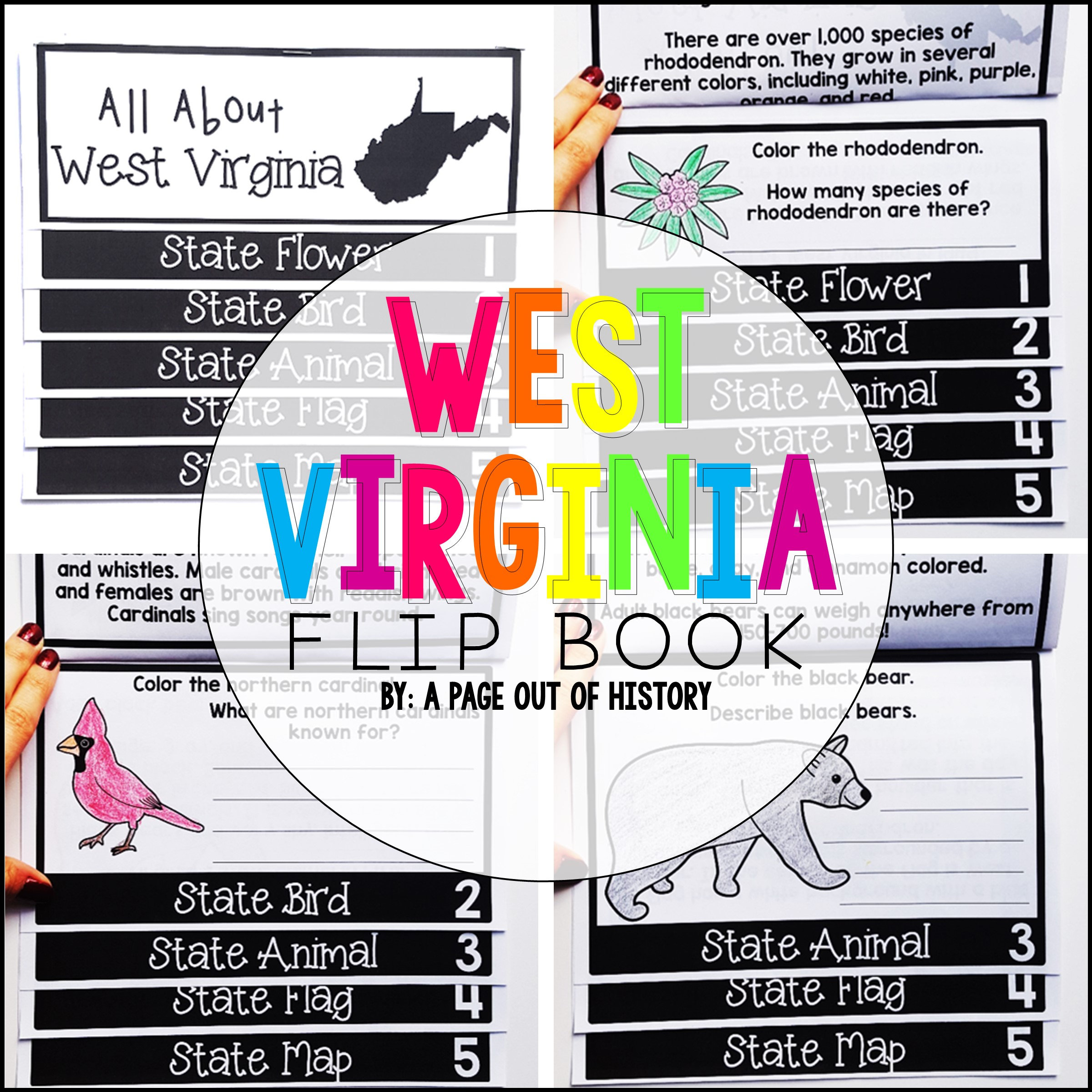 West Virginia State Flip Book | 3-5 | Homeschool | Social Studies ...