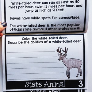 Pennsylvania 3rd-5th Grade State Lesson | Symbols, Map, Flag, Reading ...