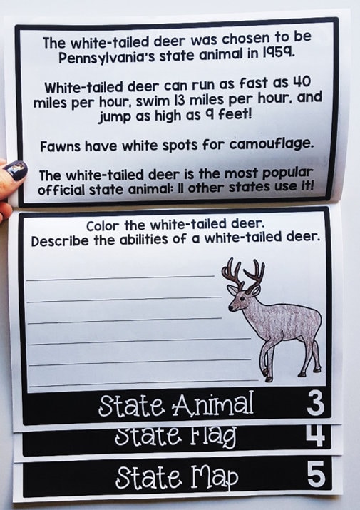 Pennsylvania 3rd-5th Grade State Lesson | Symbols, Map, Flag, Reading ...