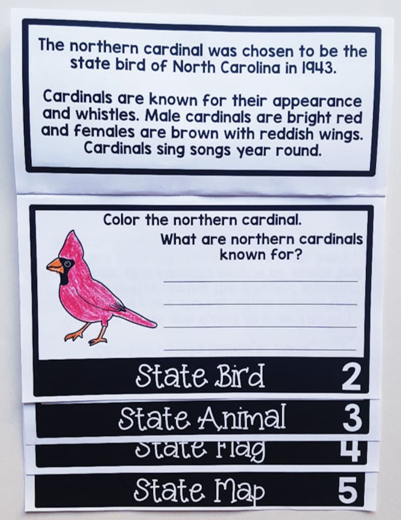 North Carolina State Flip Book | 3-5 | Homeschool | Social Studies ...