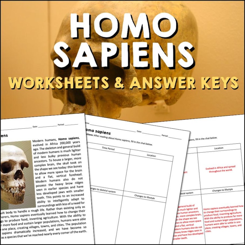 Homo Sapiens Early Humans Reading Worksheets and Answer Keys - Etsy