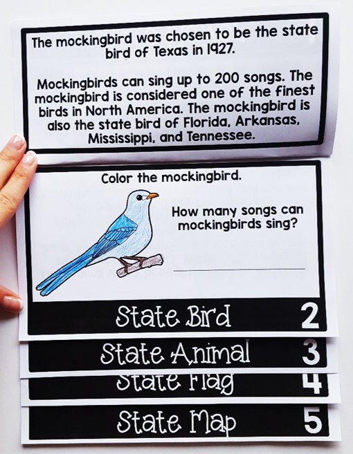 Texas State Flip Book | 3-5 | Homeschool | Social Studies Printable ...