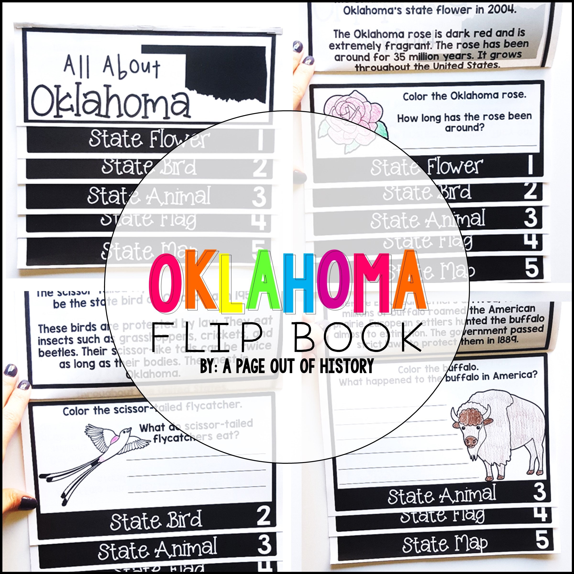 Oklahoma 3rd-5th Grade State Lesson | Symbols, Map, Flag, Reading ...