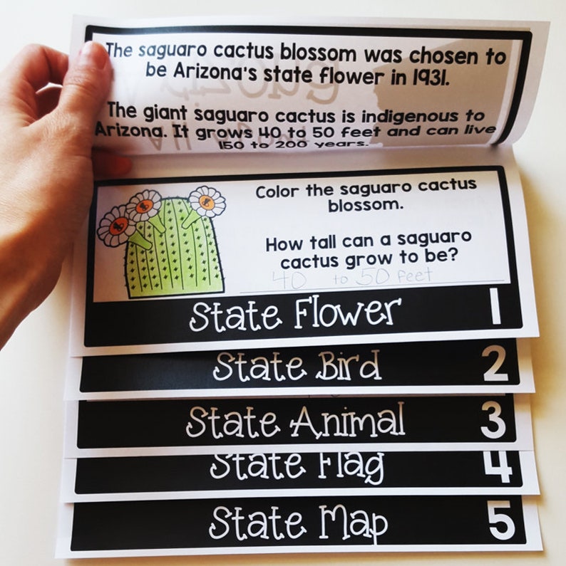 Arizona 3rd-5th Grade State Lesson | Symbols, Map, Flag, Reading ...