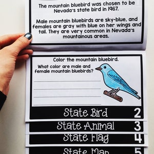 Nevada State Flip Book | 3-5 | Homeschool | Social Studies Printable ...