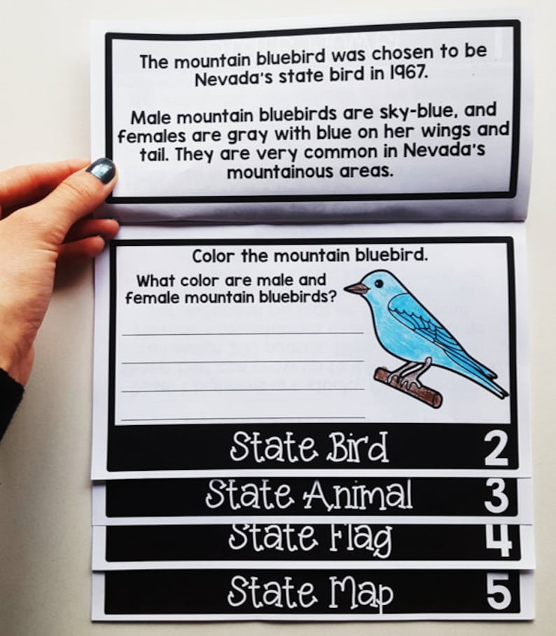 Nevada State Flip Book | 3-5 | Homeschool | Social Studies Printable ...