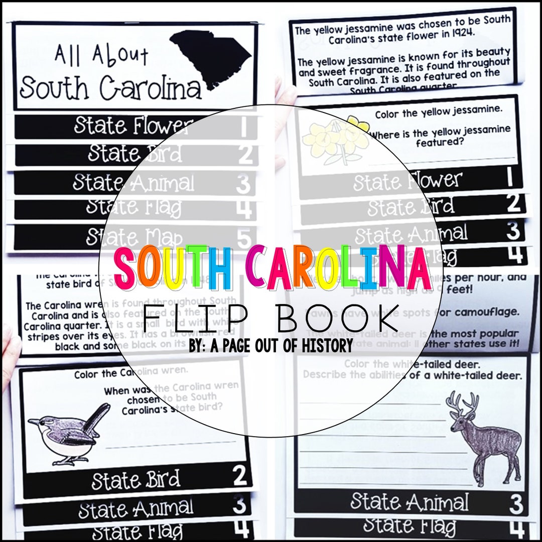 South Carolina 3rd-5th Grade State Lesson | Symbols, Map, Flag, Reading ...