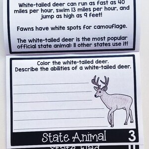 Ohio 3rd-5th Grade State Lesson | Symbols, Map, Flag, Reading, Writing ...