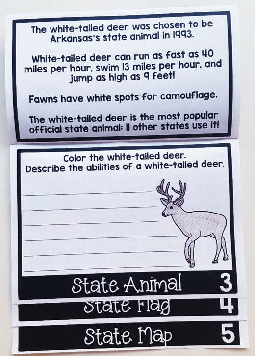 Ohio 3rd-5th Grade State Lesson | Symbols, Map, Flag, Reading, Writing ...