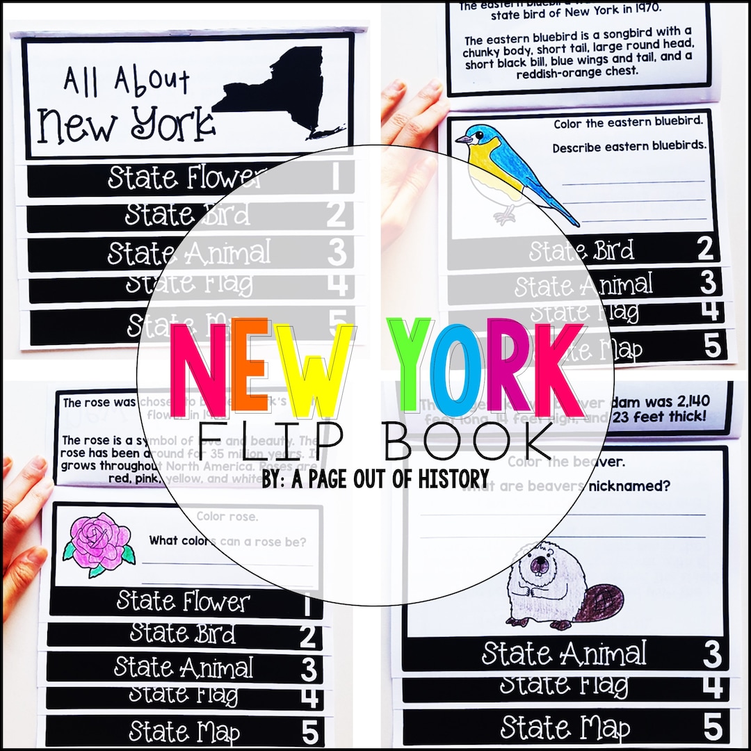 New York State Flip Book | 3-5 | Homeschool | Social Studies Printable ...
