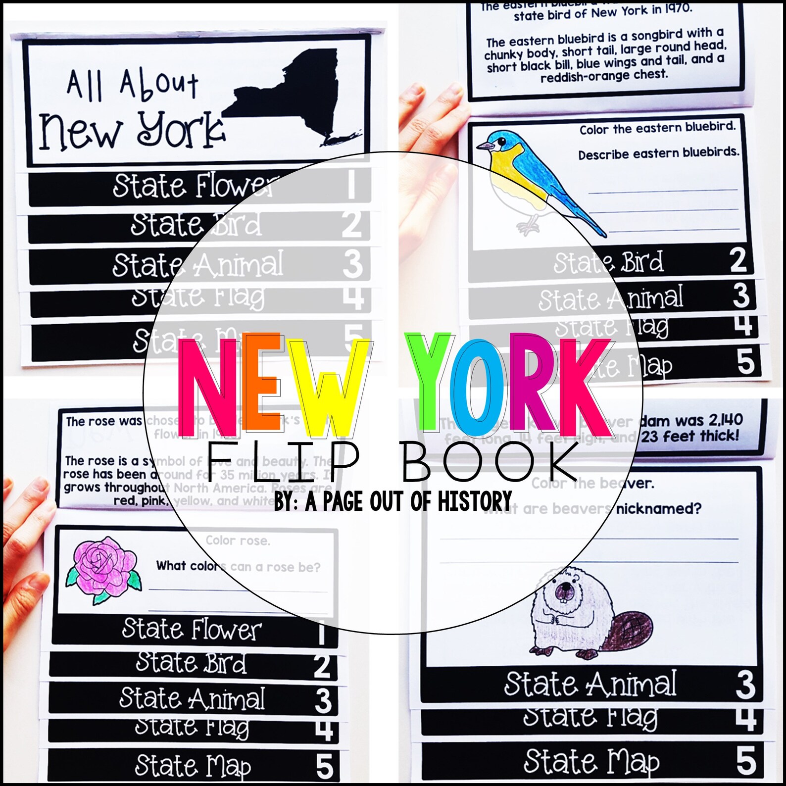 New York State Flip Book | 3-5 | Homeschool | Social Studies Printable ...