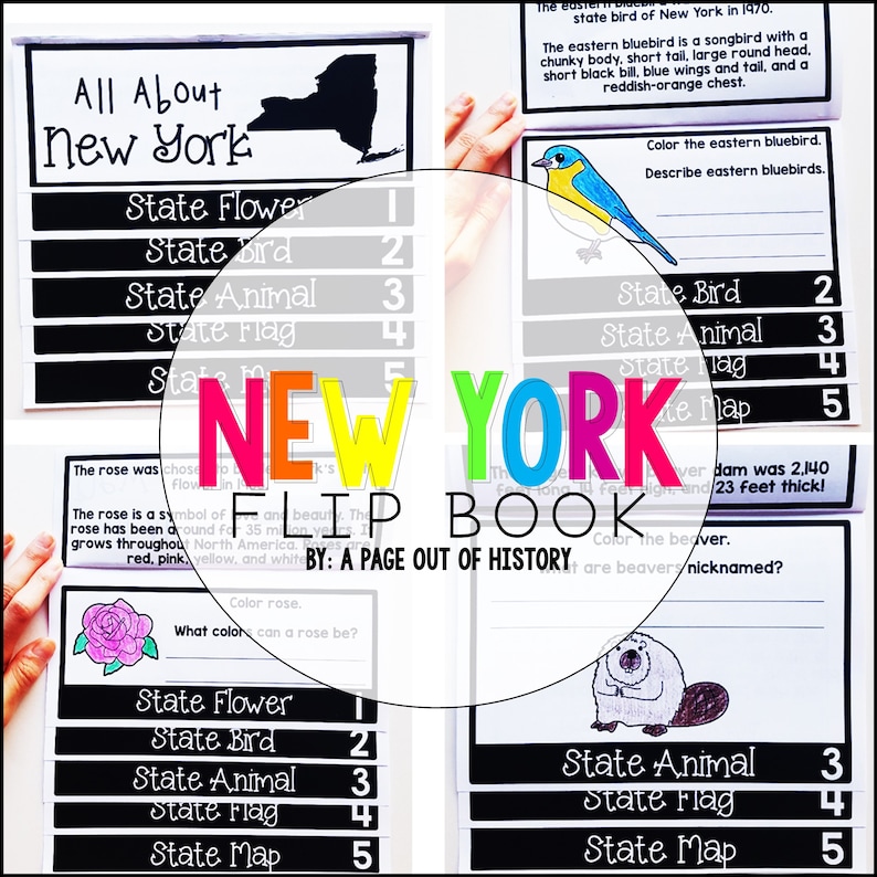 New York State Flip Book | 3-5 | Homeschool | Social Studies Printable ...