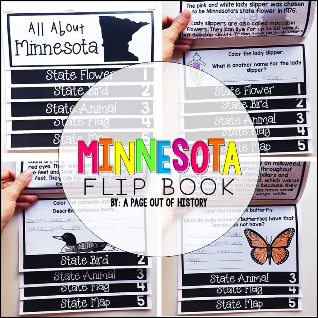 Minnesota State Flip Book | 3-5 | Homeschool | Social Studies Printable ...