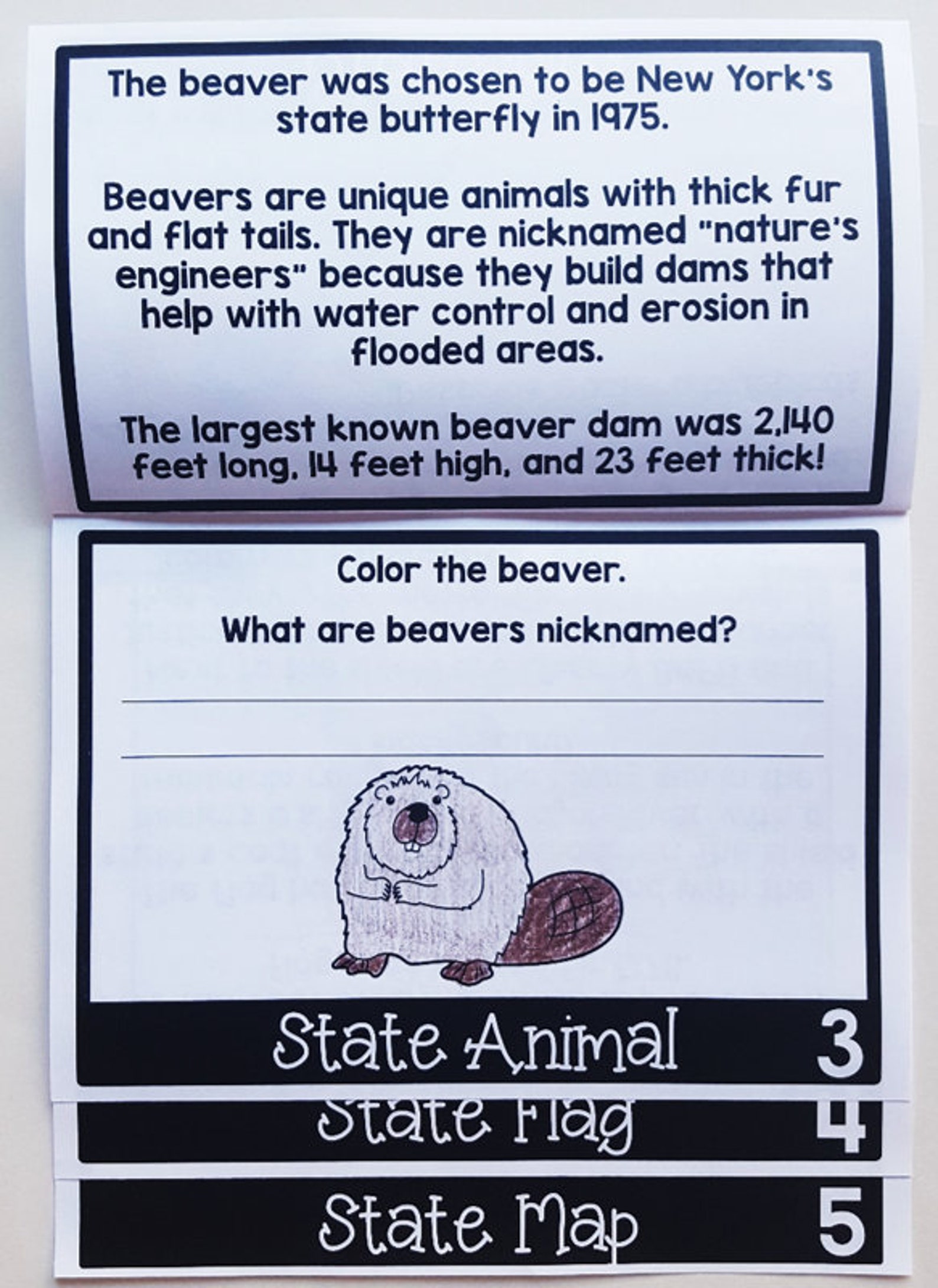 New York State Flip Book | 3-5 | Homeschool | Social Studies Printable ...