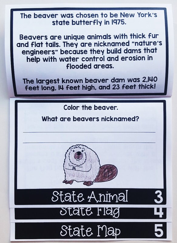 New York 3rd-5th Grade State Lesson | Symbols, Map, Flag, Reading ...