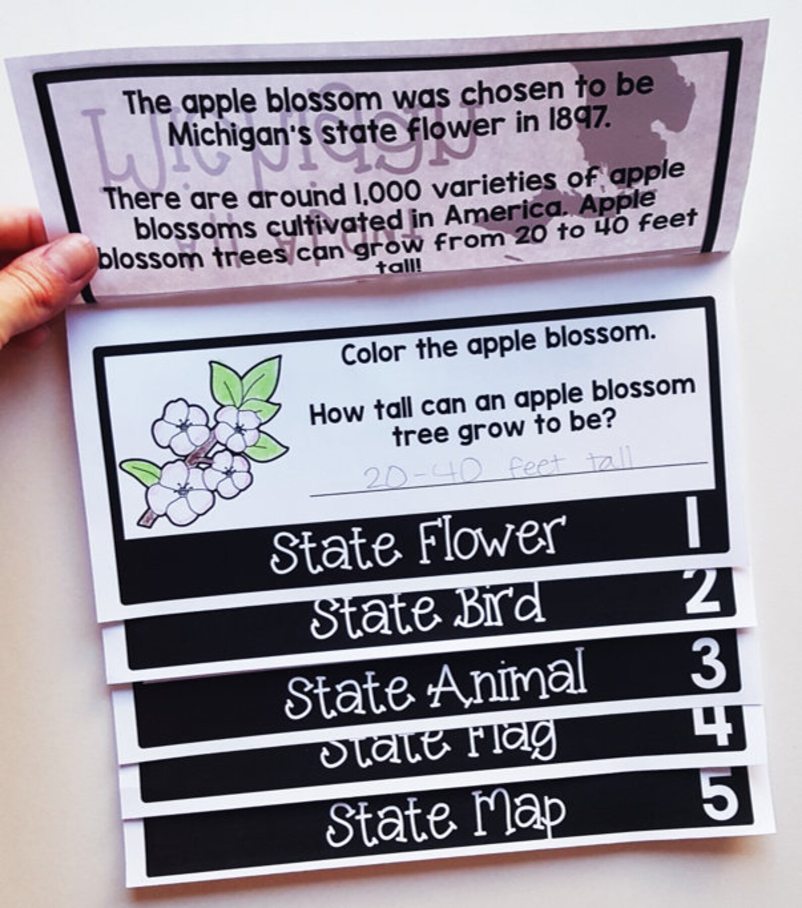 Michigan 3rd-5th Grade State Lesson | Symbols, Map, Flag, Reading ...