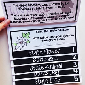 Michigan 3rd-5th Grade State Lesson | Symbols, Map, Flag, Reading ...