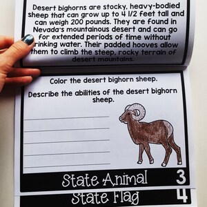 Nevada State Flip Book | 3-5 | Homeschool | Social Studies Printable ...