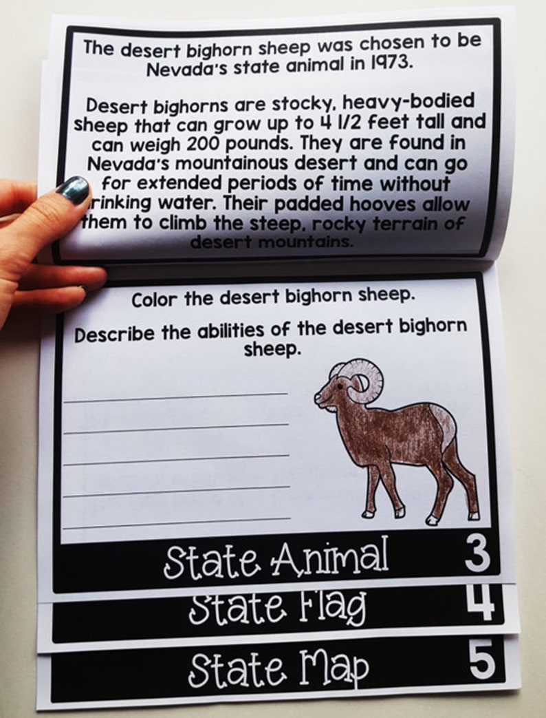 Nevada State Flip Book | 3-5 | Homeschool | Social Studies Printable ...