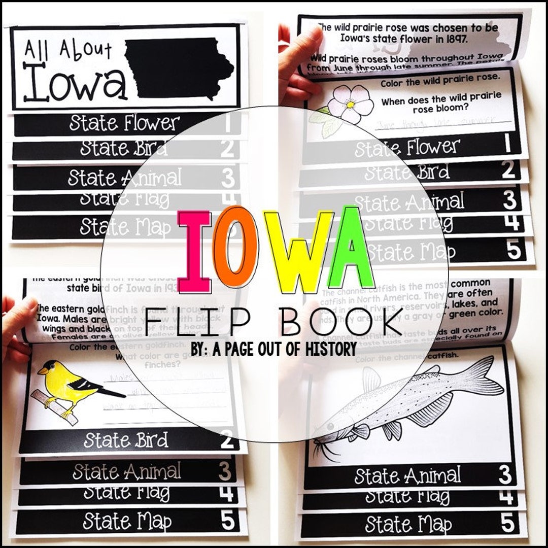 Iowa State Flip Book | 3-5 | Homeschool | Social Studies Printable ...