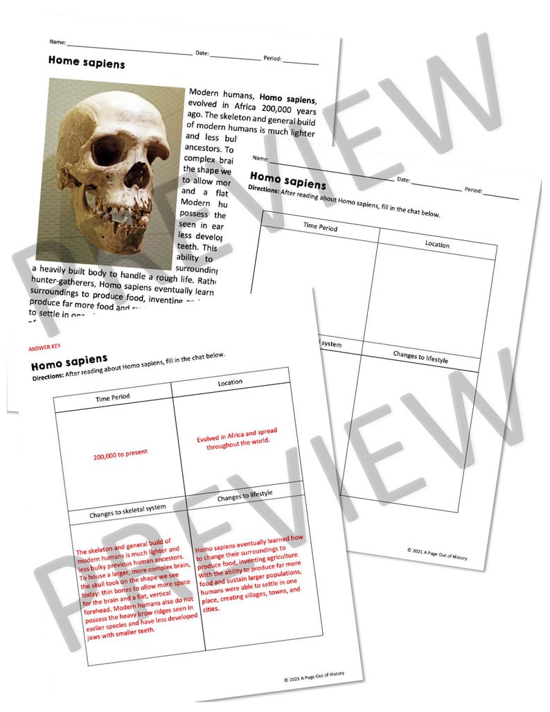 Homo Sapiens Early Humans Reading Worksheets and Answer Keys - Etsy