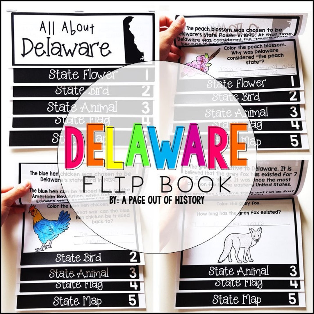 Delaware State Flip Book 3-5 Homeschool Social Studies Printable ...
