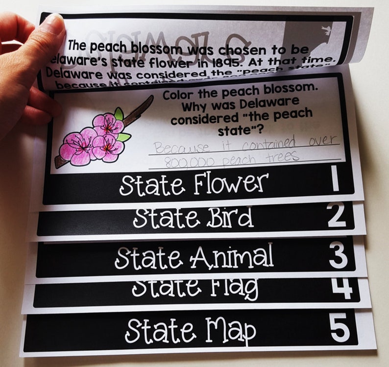 Delaware 3rd-5th Grade State Lesson | Symbols, Map, Flag, Reading ...