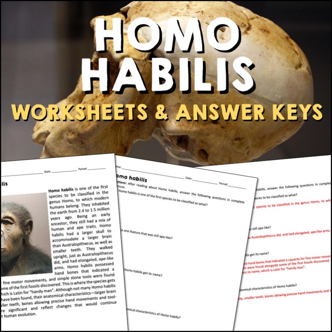 Homo Habilis Early Humans Reading Worksheets and Answer Keys - Etsy
