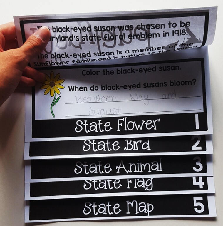 Maryland 3rd-5th Grade State Lesson | Symbols, Map, Flag, Reading ...