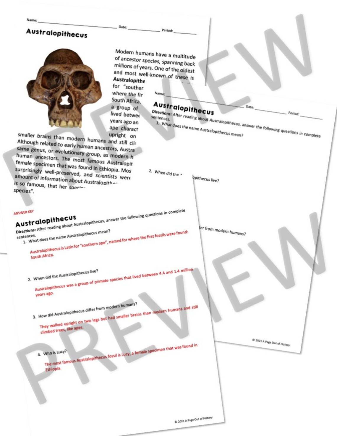 Australopithecus Early Humans Reading Passages Worksheets, Questions ...
