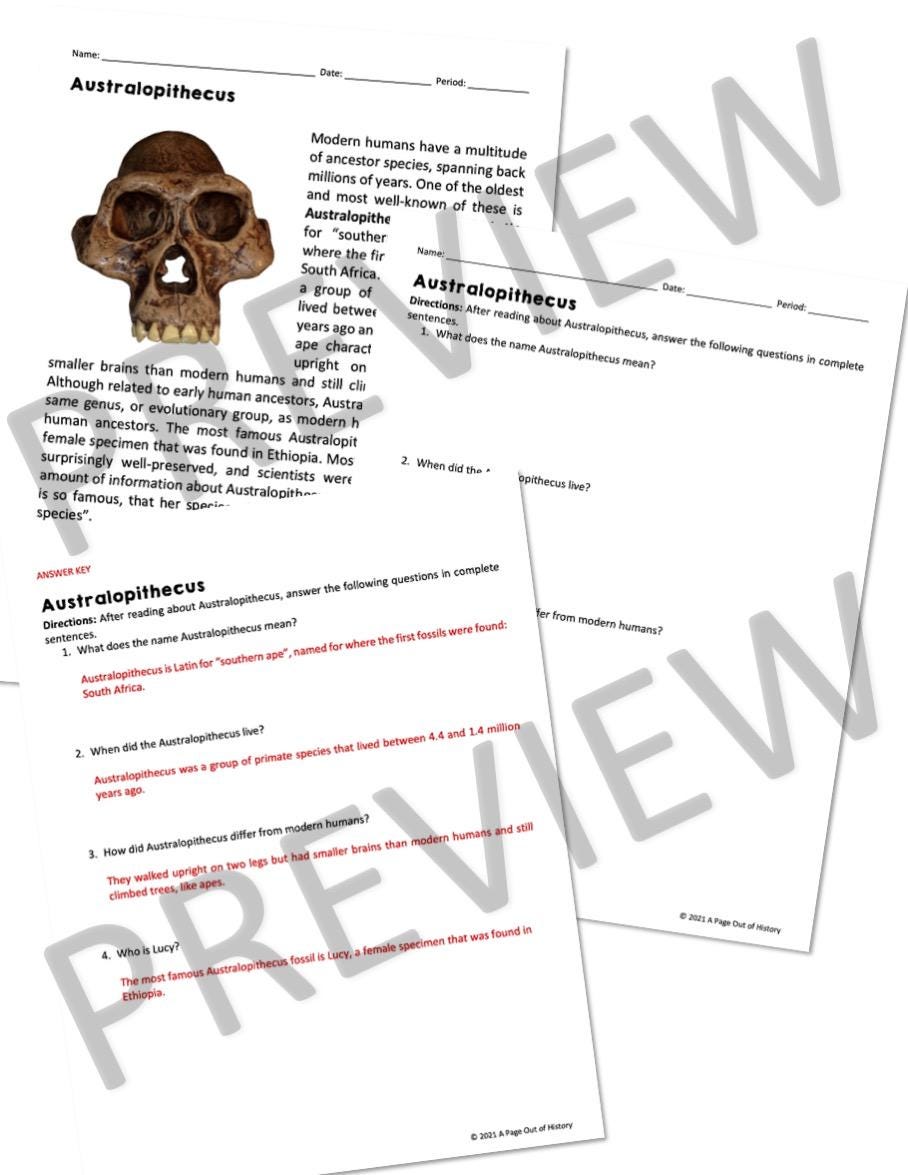 Australopithecus Early Humans Reading Passages Worksheets, Questions ...