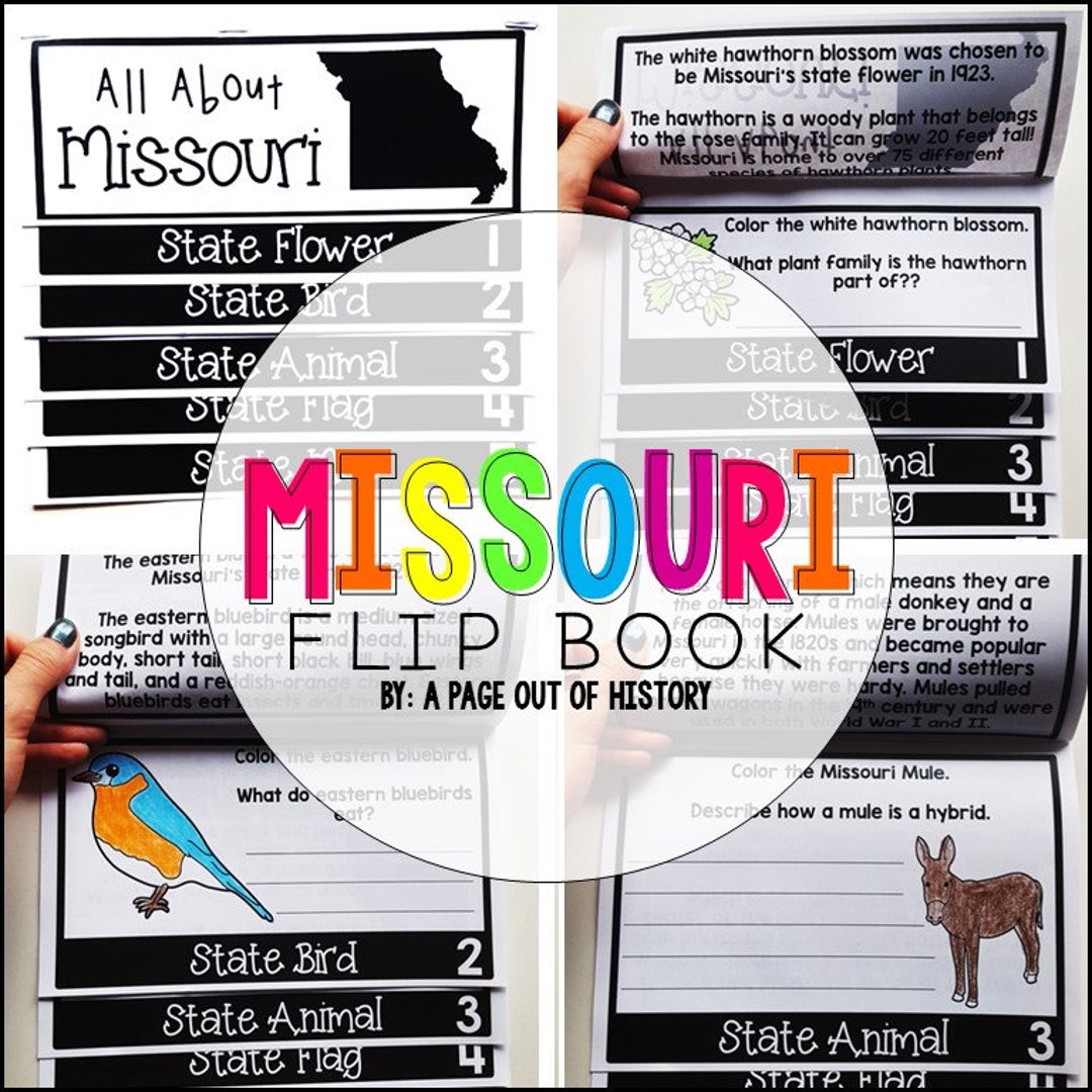 Missouri 3rd-5th Grade State Lesson | Symbols, Map, Flag, Reading ...