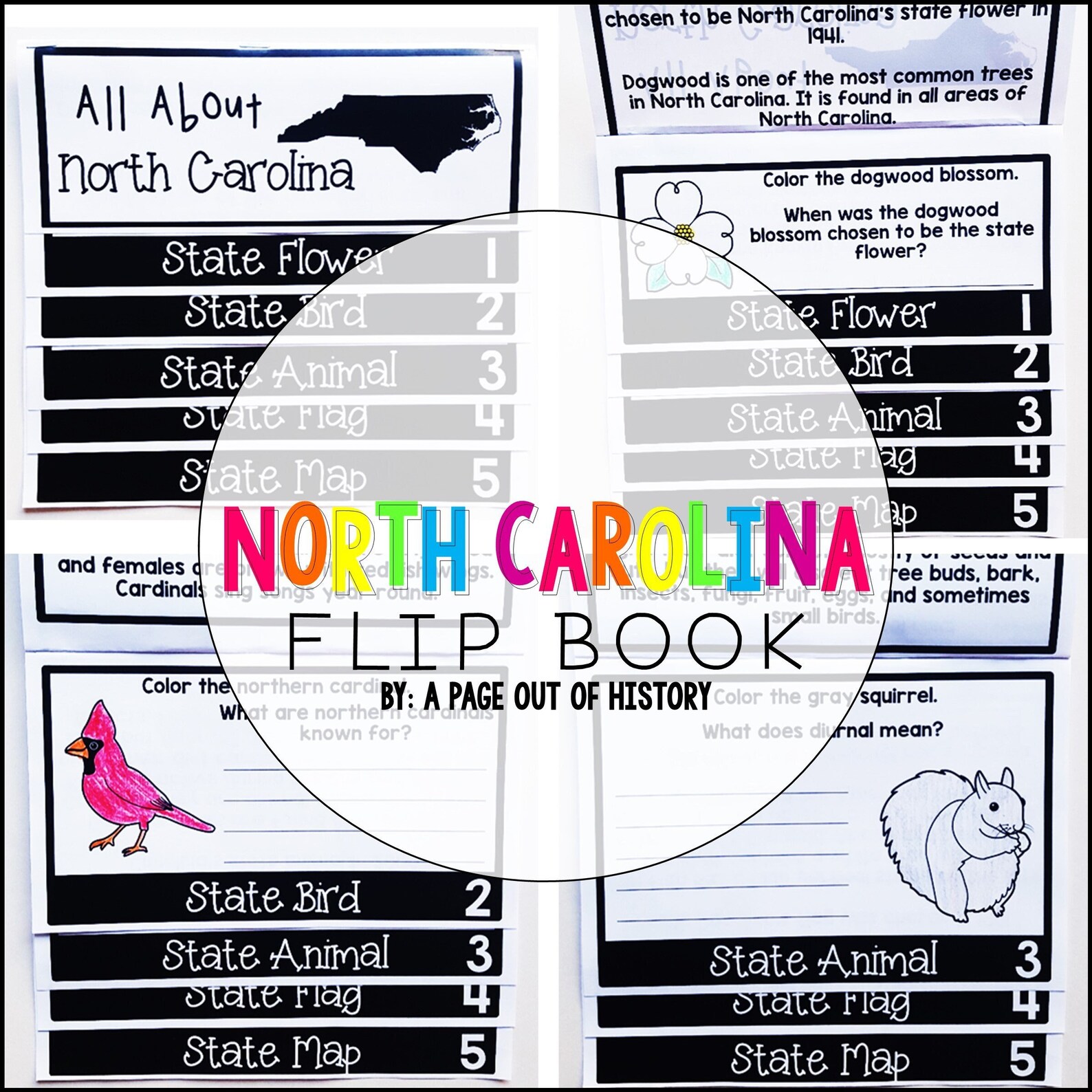 North Carolina State Flip Book | 3-5 | Homeschool | Social Studies ...