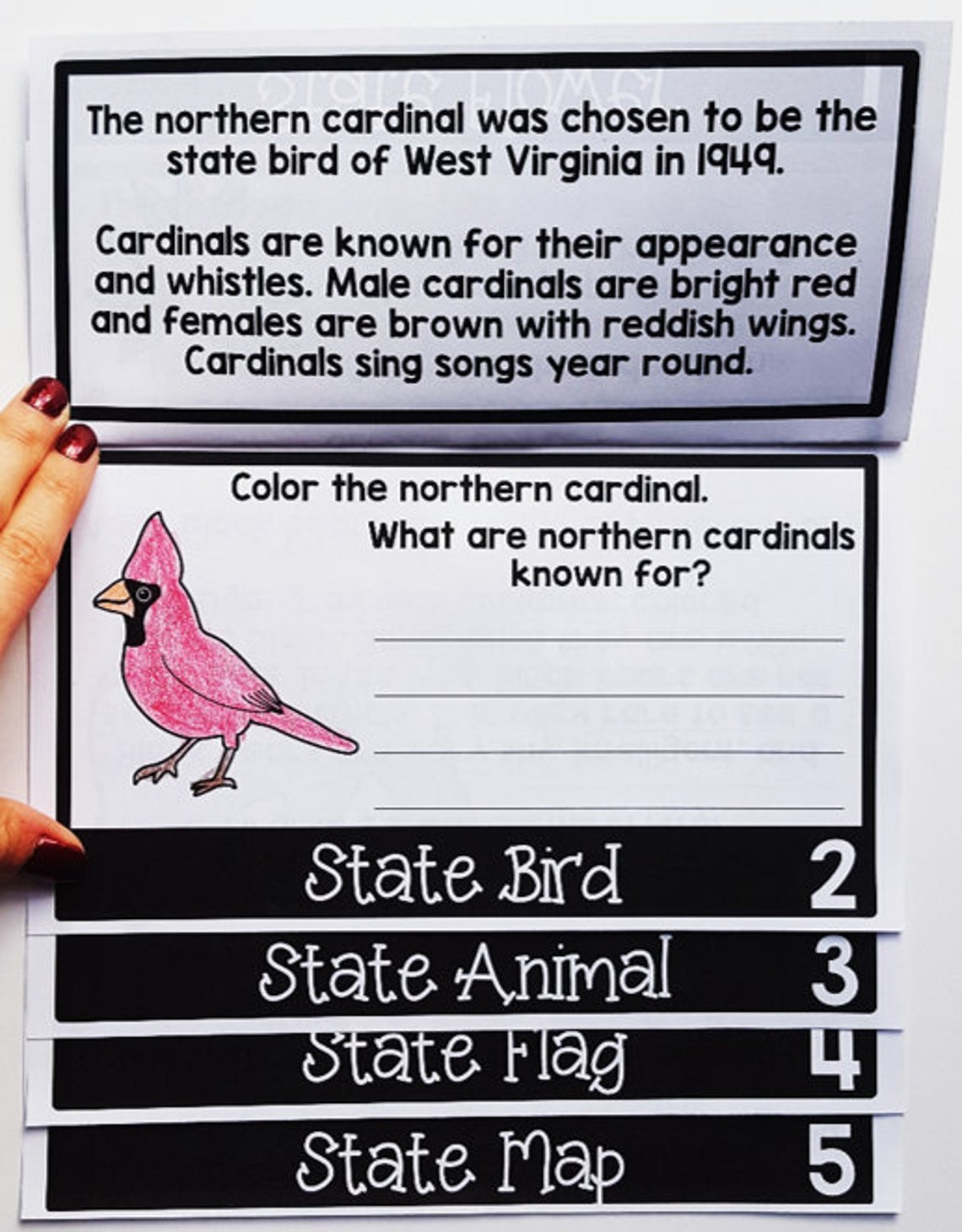 West Virginia State Lesson Flipbook Symbols, Map, Flag, Reading ...