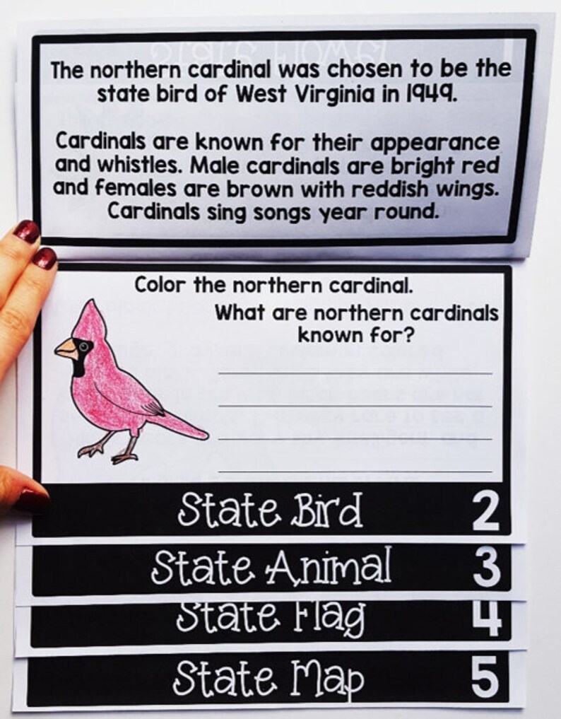West Virginia State Flip Book | 3-5 | Homeschool | Social Studies ...