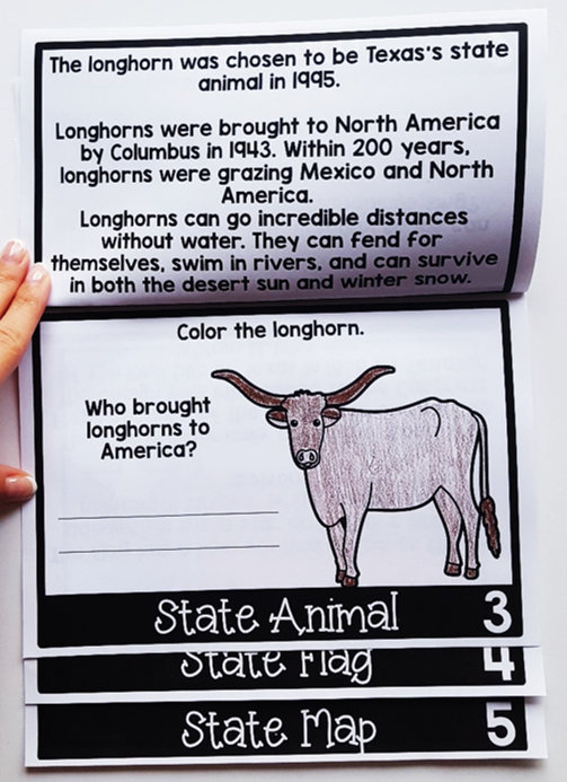 Texas State Flip Book | 3-5 | Homeschool | Social Studies Printable ...