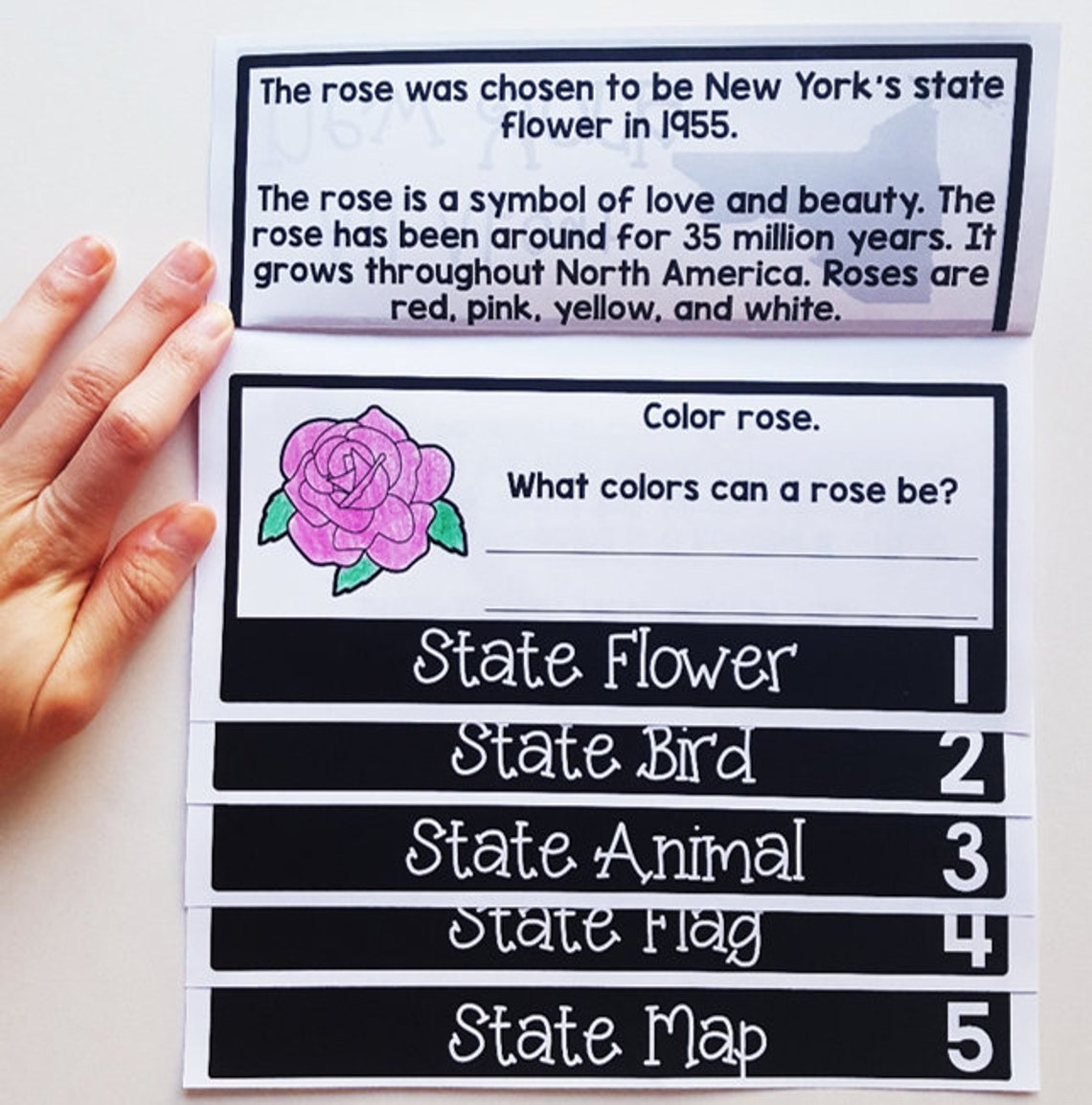 New York State Flip Book | 3-5 | Homeschool | Social Studies Printable ...