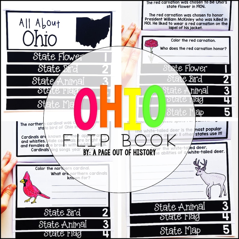 Ohio 3rd-5th Grade State Lesson | Symbols, Map, Flag, Reading, Writing ...