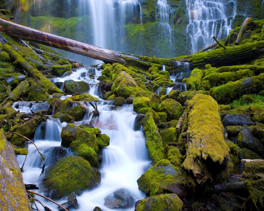 8x10 Summer Stream, Cascade Mountains, Oregon, Wall Art, Fine Art ...
