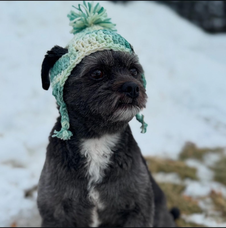 Handmade Crochet Dog Beanie: Winter Pompom Hat With Braided Tie - Etsy