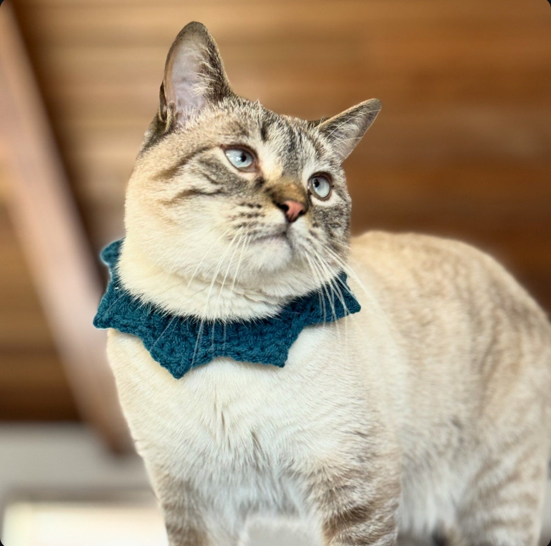 Cute Collar Accessories for Cats and Kittens, Handmade Decorative ...