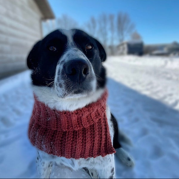 Dog Snood - Etsy Canada