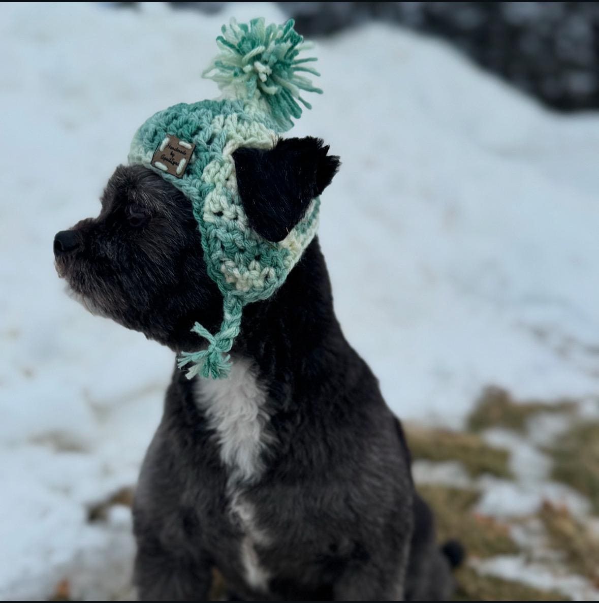 Handmade Crochet Dog Beanie: Winter Pompom Hat With Braided Tie - Etsy