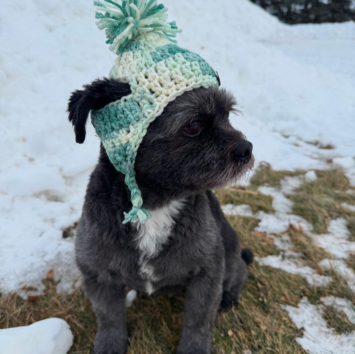 Handmade Crochet Dog Beanie: Winter Pompom Hat With Braided Tie - Etsy