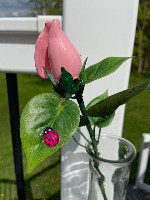 Sea Shell Pink Rose Bud Flower - Etsy
