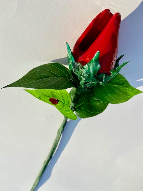 Sea Shell Red Rose Bud Long Stem Flower - Etsy