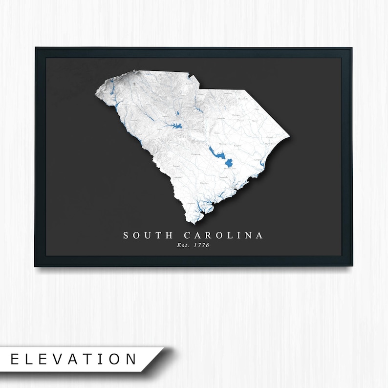 South Carolina Map Art / South Carolina Gift / State Map Print - Etsy