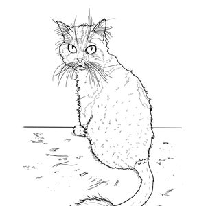 domestic cat coloring page