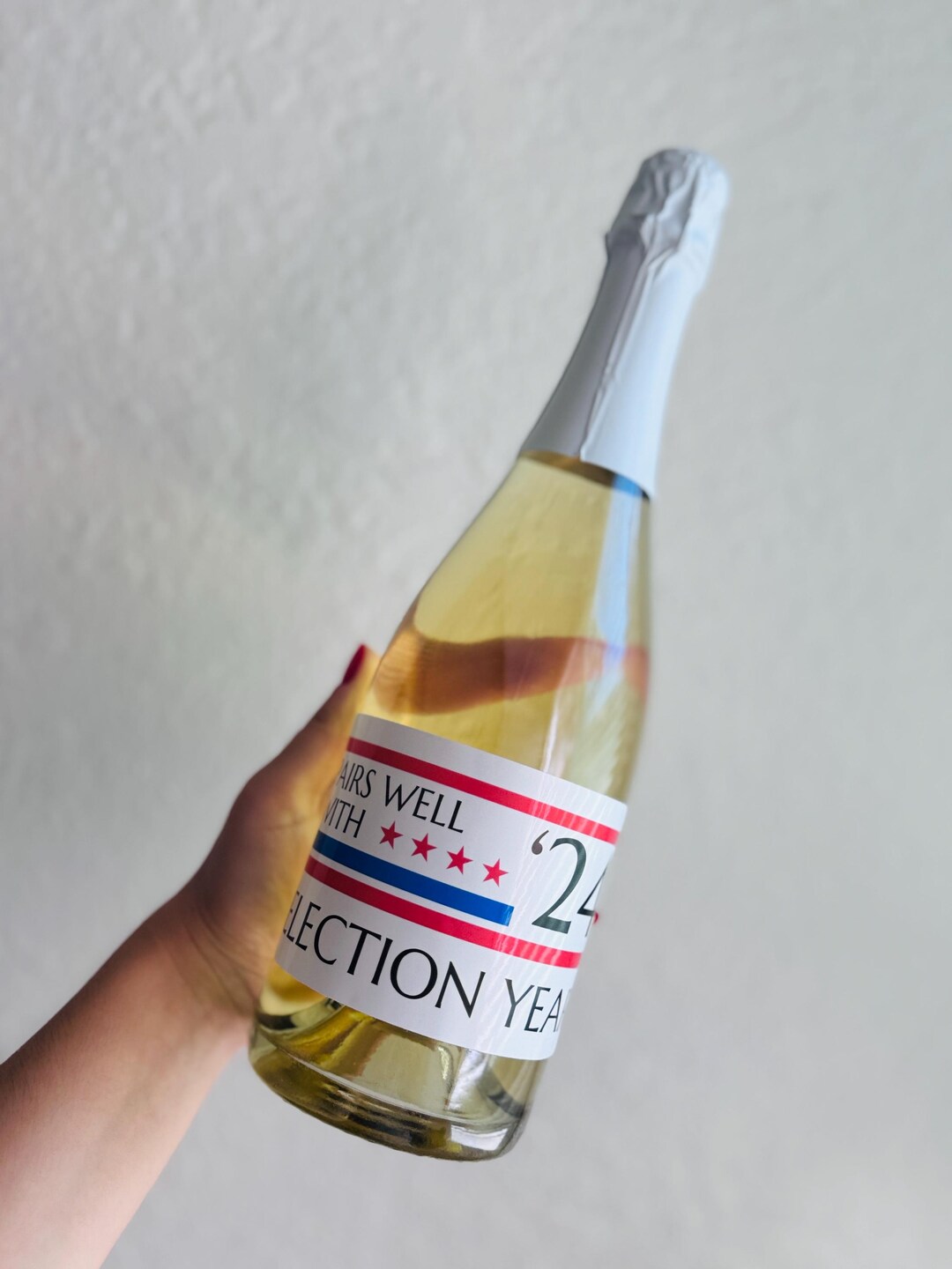 Pairs Well With Election Year 2024 Elections America Congress