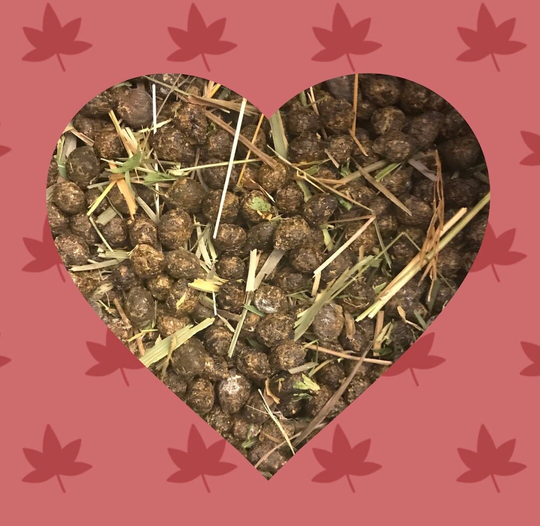 Peachy Poo Fertilizer Organic Rabbit Manure Compost Tea - Etsy Canada